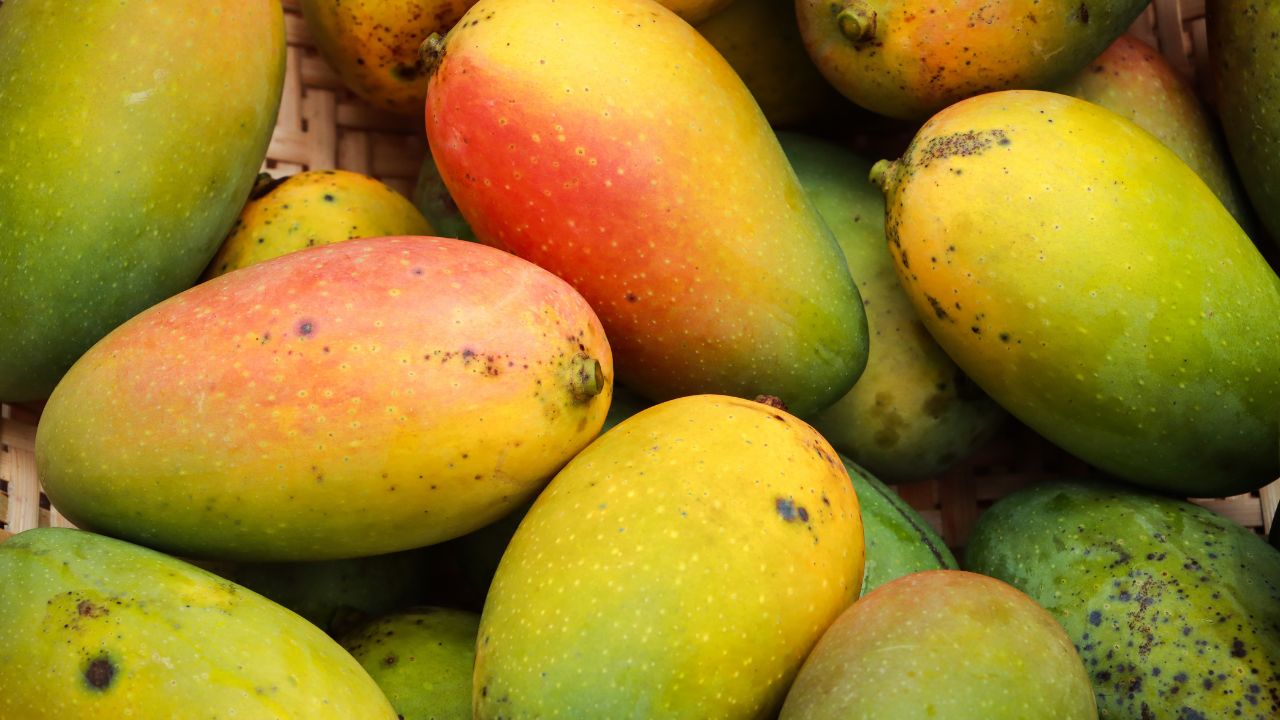 13 Benefícios da Manga e Dicas Receitas Saudáveis